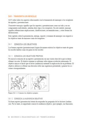 IBCS Standards 1.2 - edición en español (book) - IBCS.com